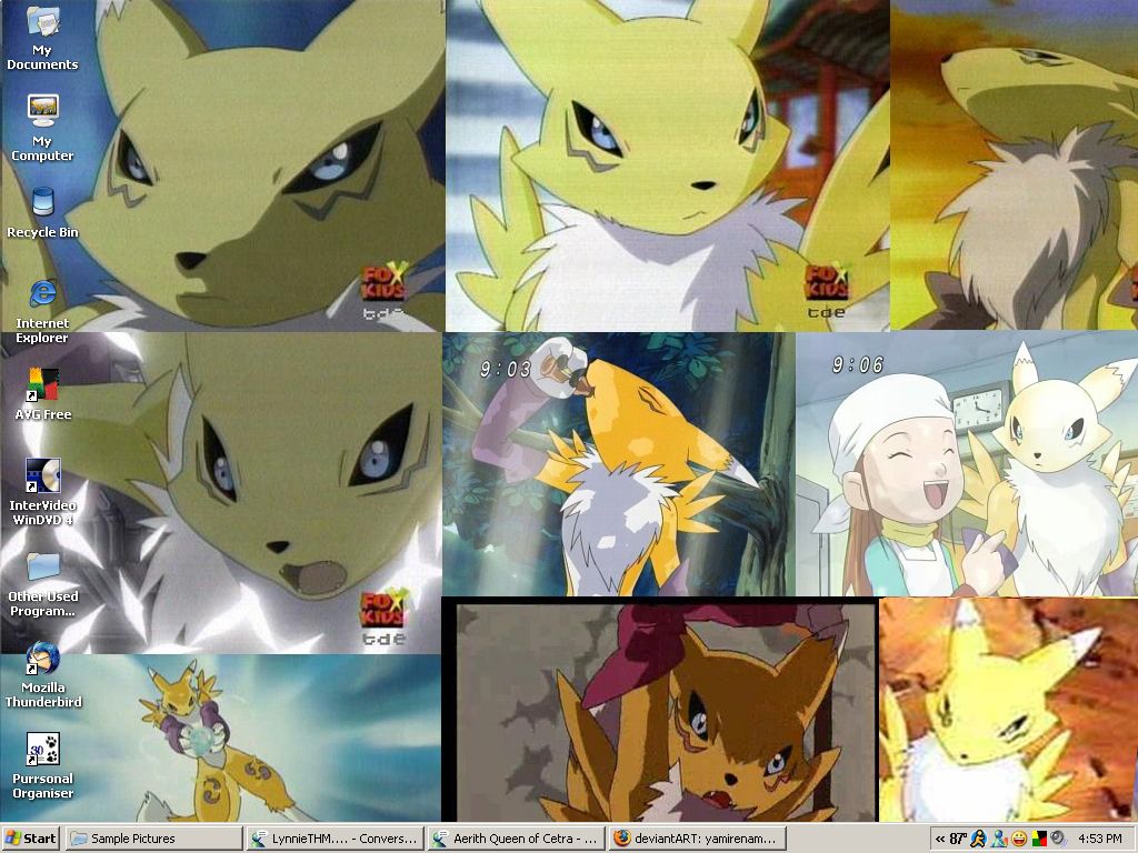 Renamon Wallpapers - Top Free Renamon Backgrounds - WallpaperAccess