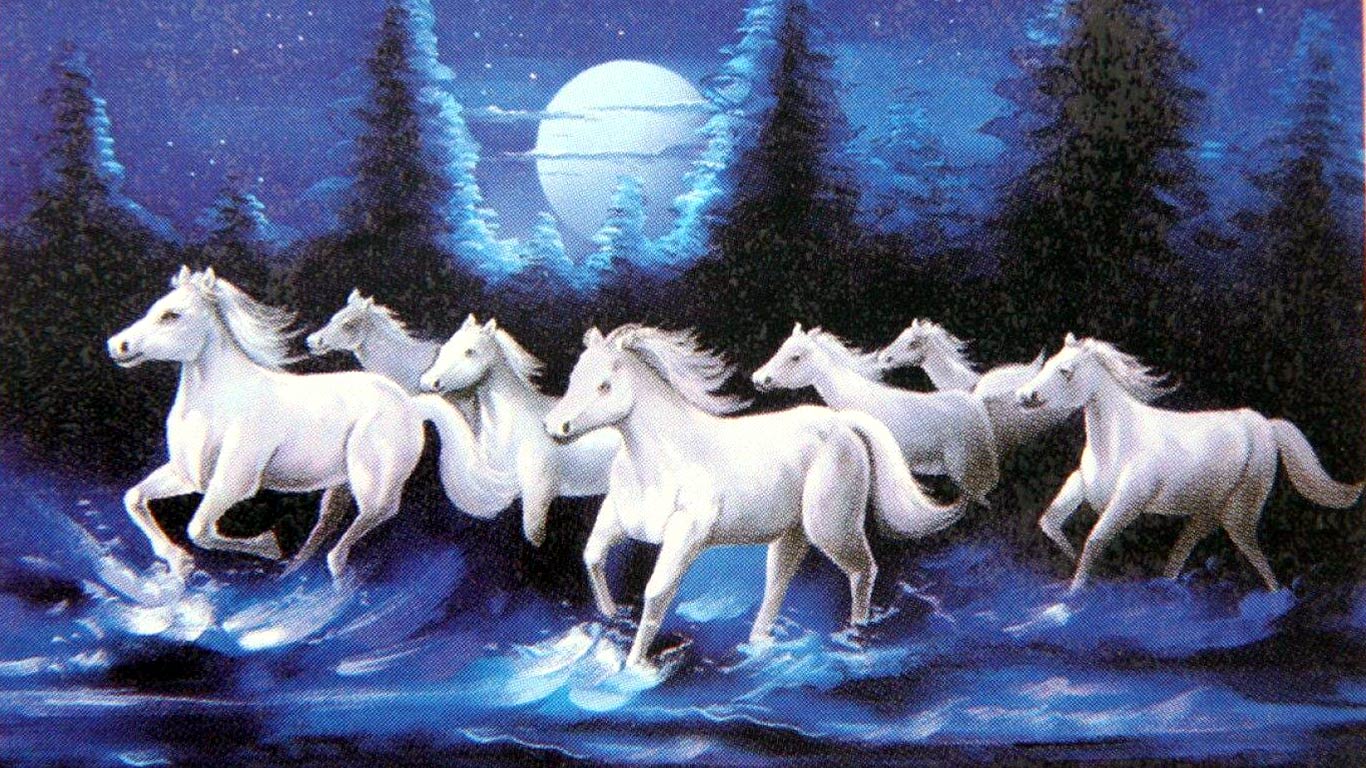 7 White Horse Wallpapers - Top Free 7 White Horse Backgrounds - WallpaperAccess