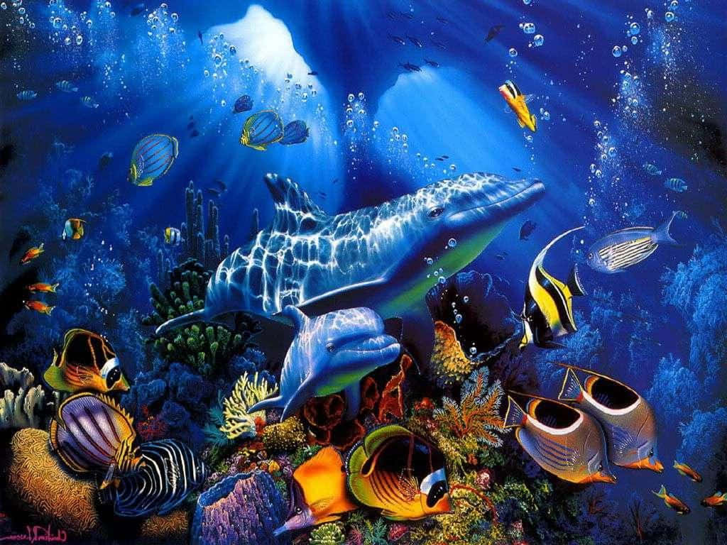 Moving Fish Wallpapers - Top Free Moving Fish Backgrounds - WallpaperAccess