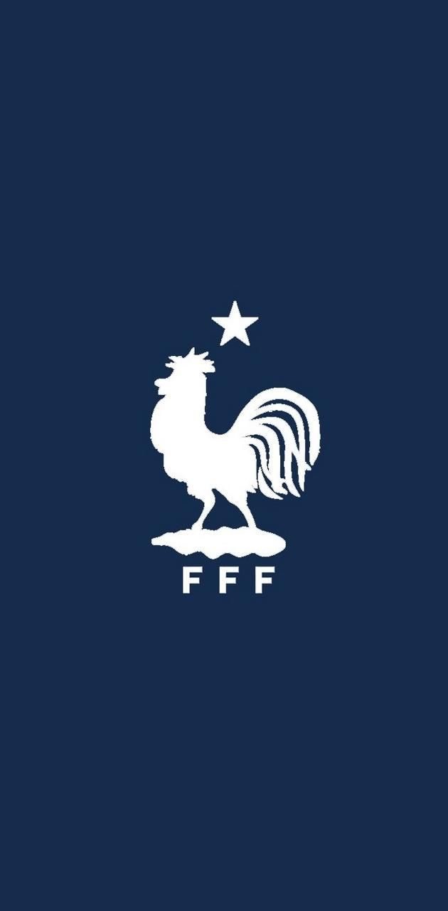 FFF Wallpapers - Top Free FFF Backgrounds - WallpaperAccess