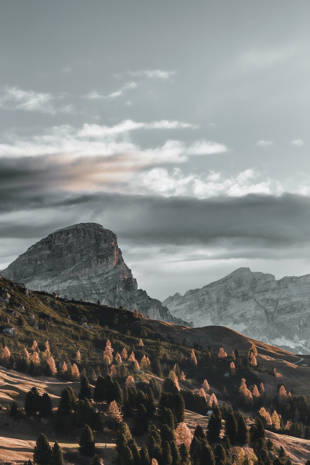 1000x1500 Wallpapers - Top Free 1000x1500 Backgrounds - WallpaperAccess