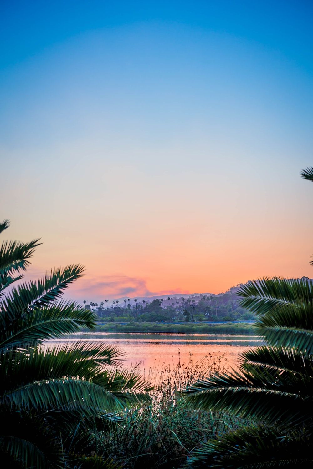 1000x1500 Wallpapers - Top Free 1000x1500 Backgrounds - WallpaperAccess