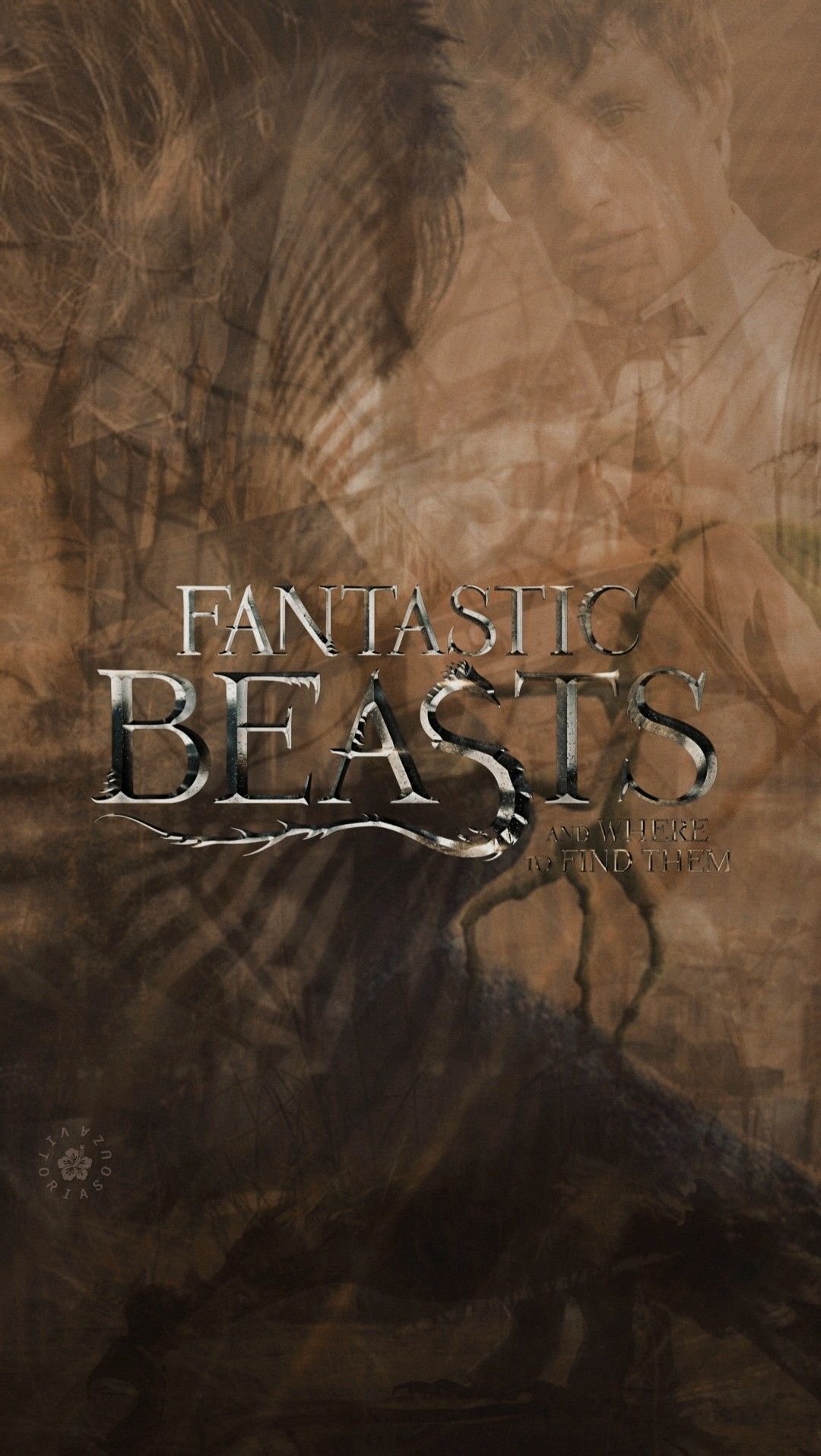 Fantastic Beasts and Where To Find Them Wallpapers - Top Free Fantastic ...