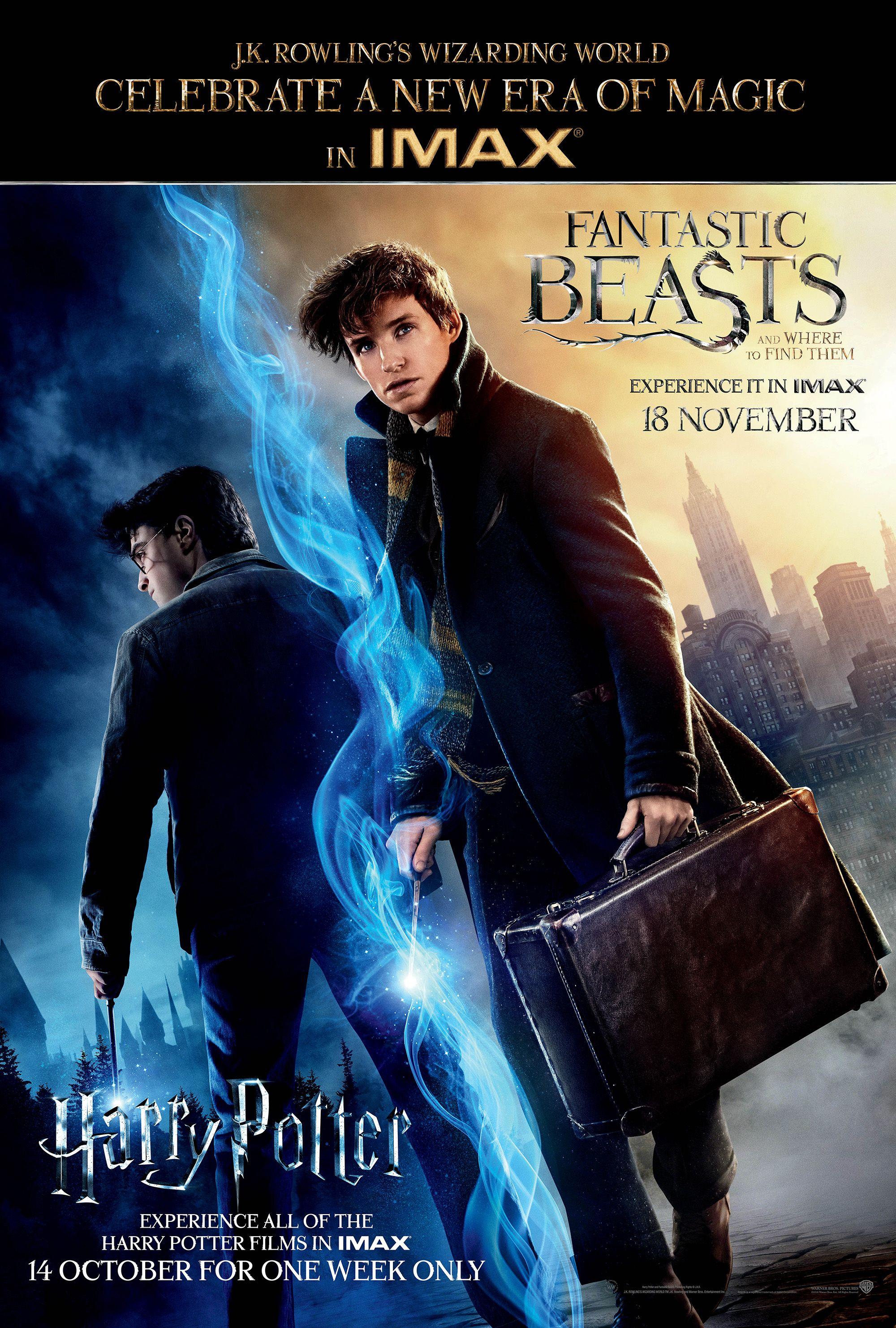 Fantastic Beasts and Where To Find Them Wallpapers - Top Free Fantastic ...