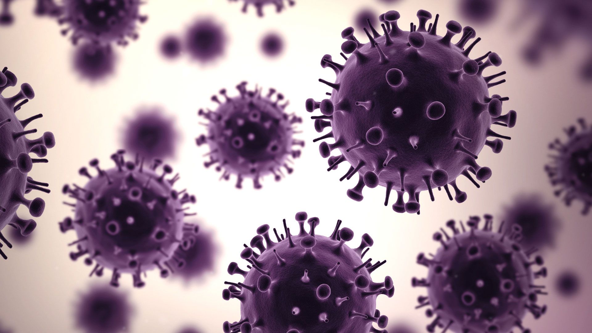 Immune System Wallpapers - Top Free Immune System Backgrounds ...
