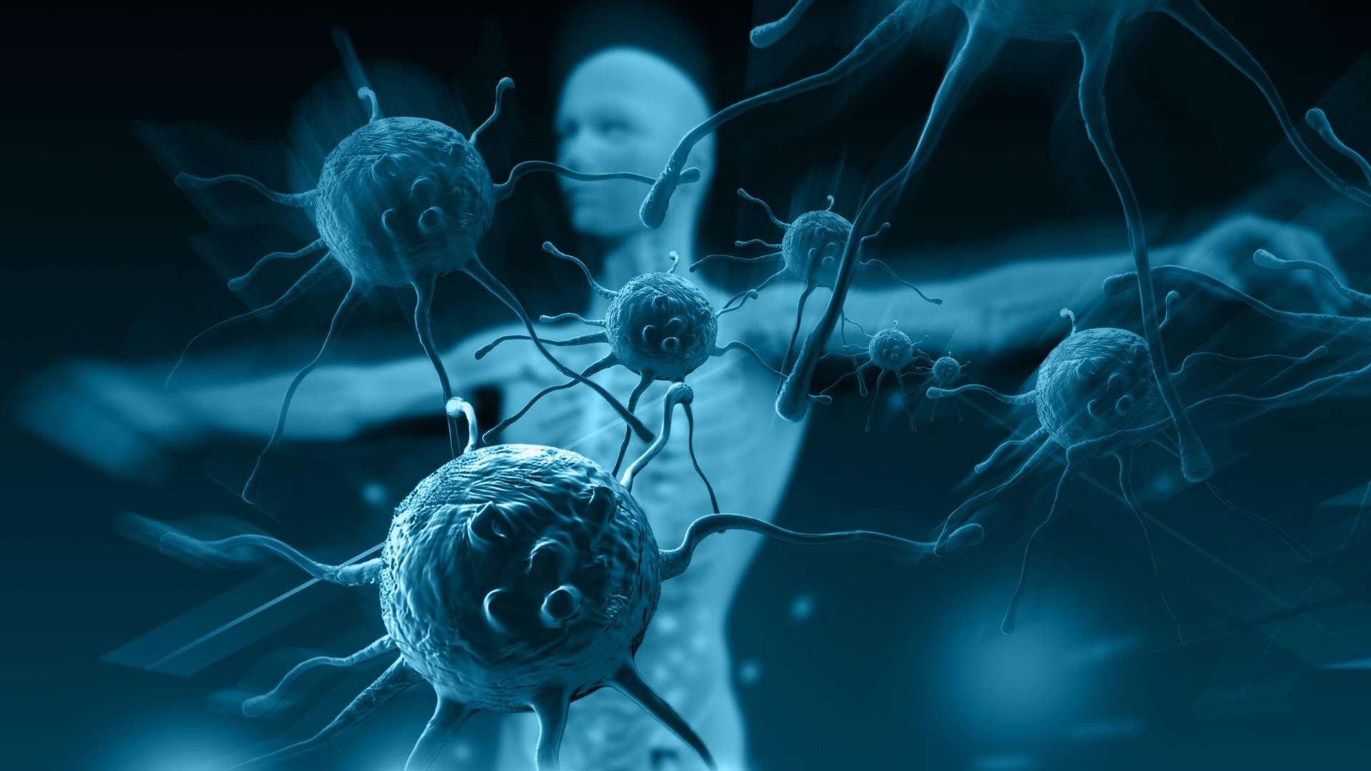 Immune System Wallpapers - Top Free Immune System Backgrounds ...