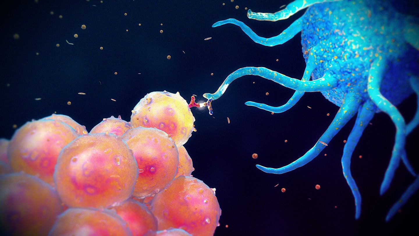 Immune System Wallpapers - Top Free Immune System Backgrounds ...