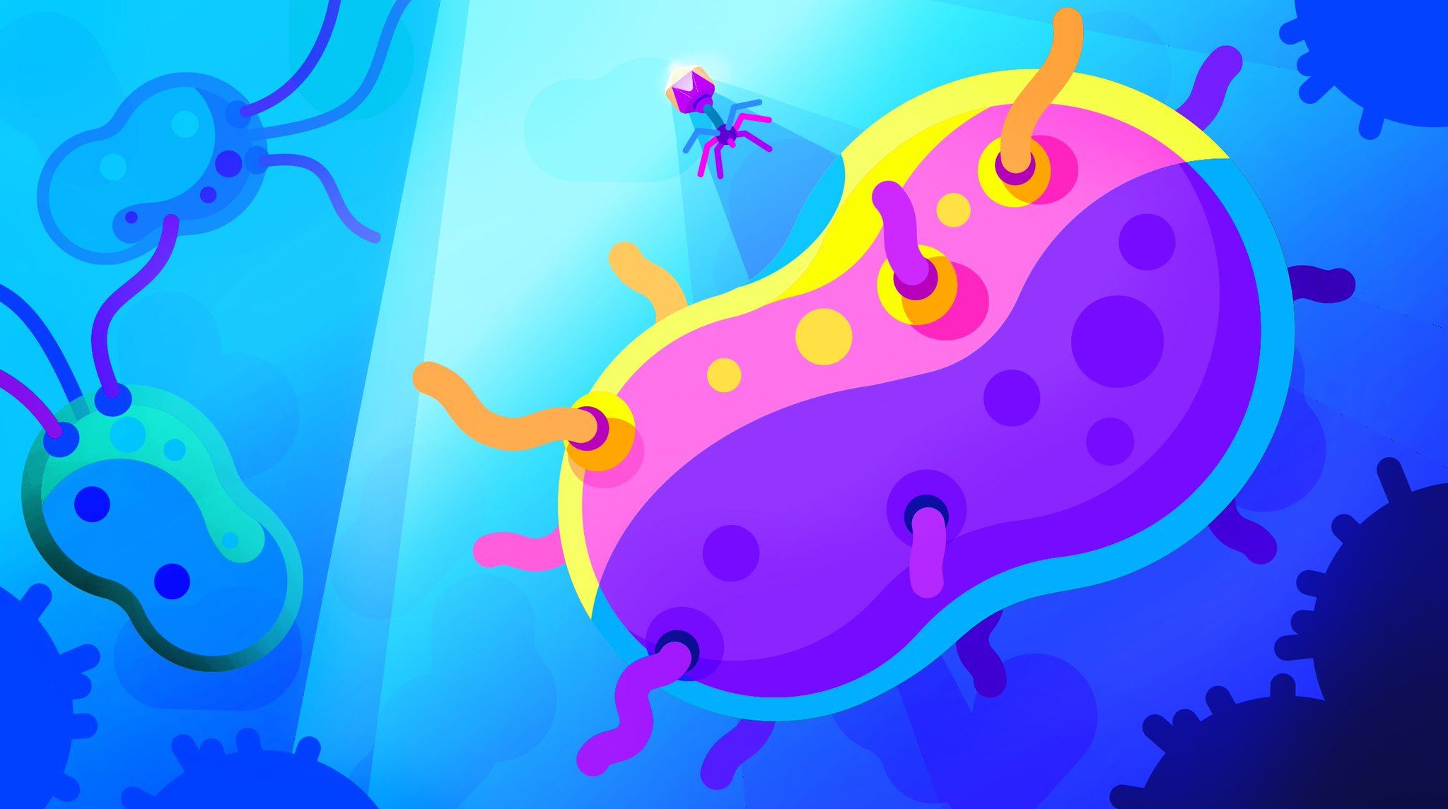 Immune System Wallpapers - Top Free Immune System Backgrounds ...