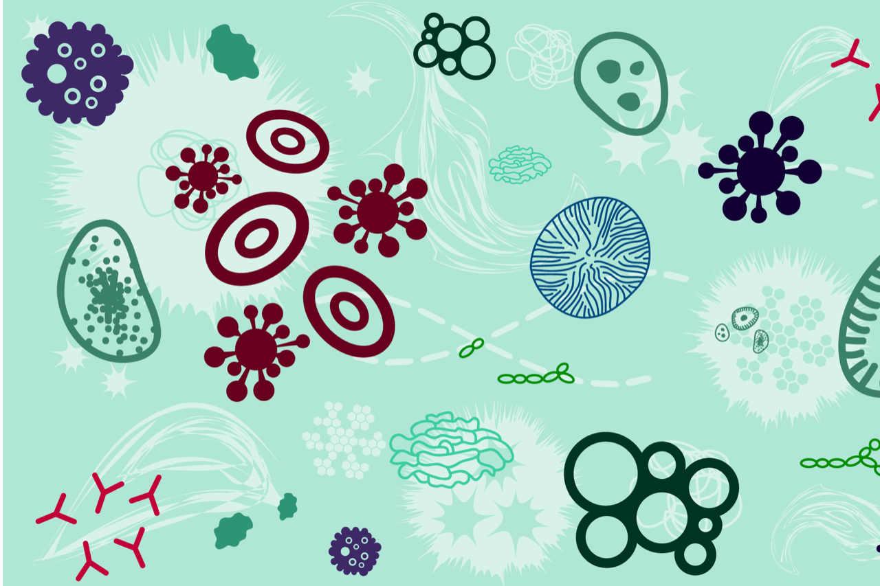 Immune System Wallpapers - Top Free Immune System Backgrounds ...