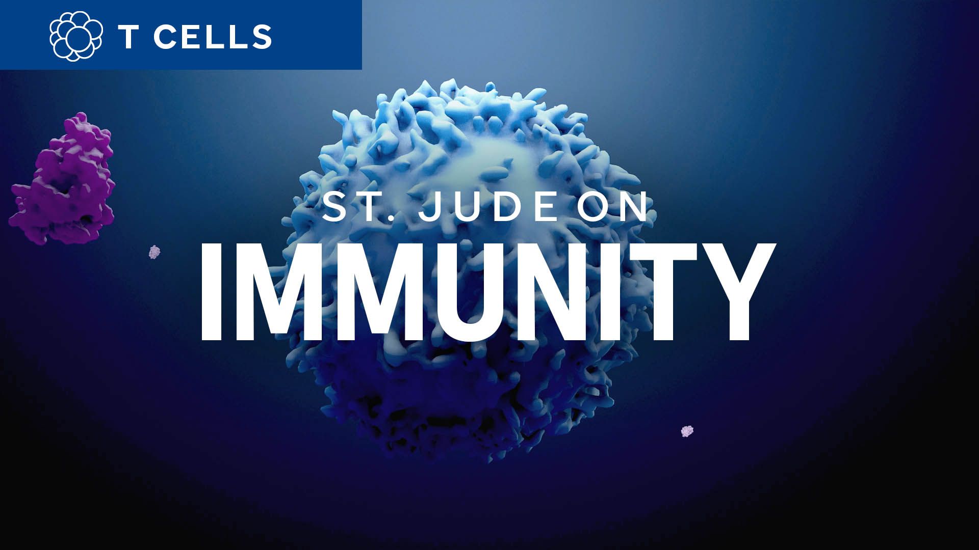 Immune System Wallpapers - Top Free Immune System Backgrounds ...