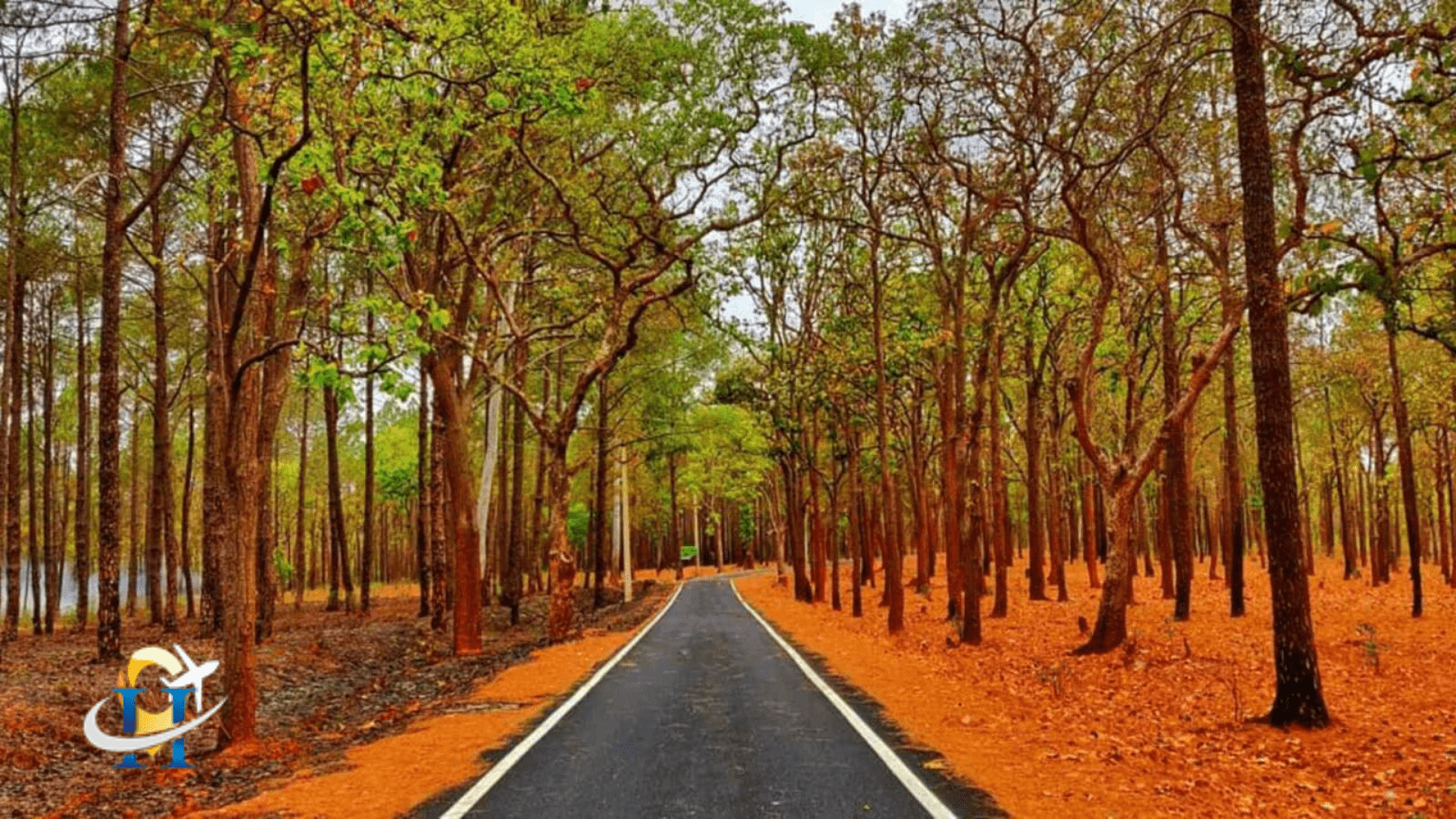 Jharkhand Wallpapers - Top Free Jharkhand Backgrounds - WallpaperAccess