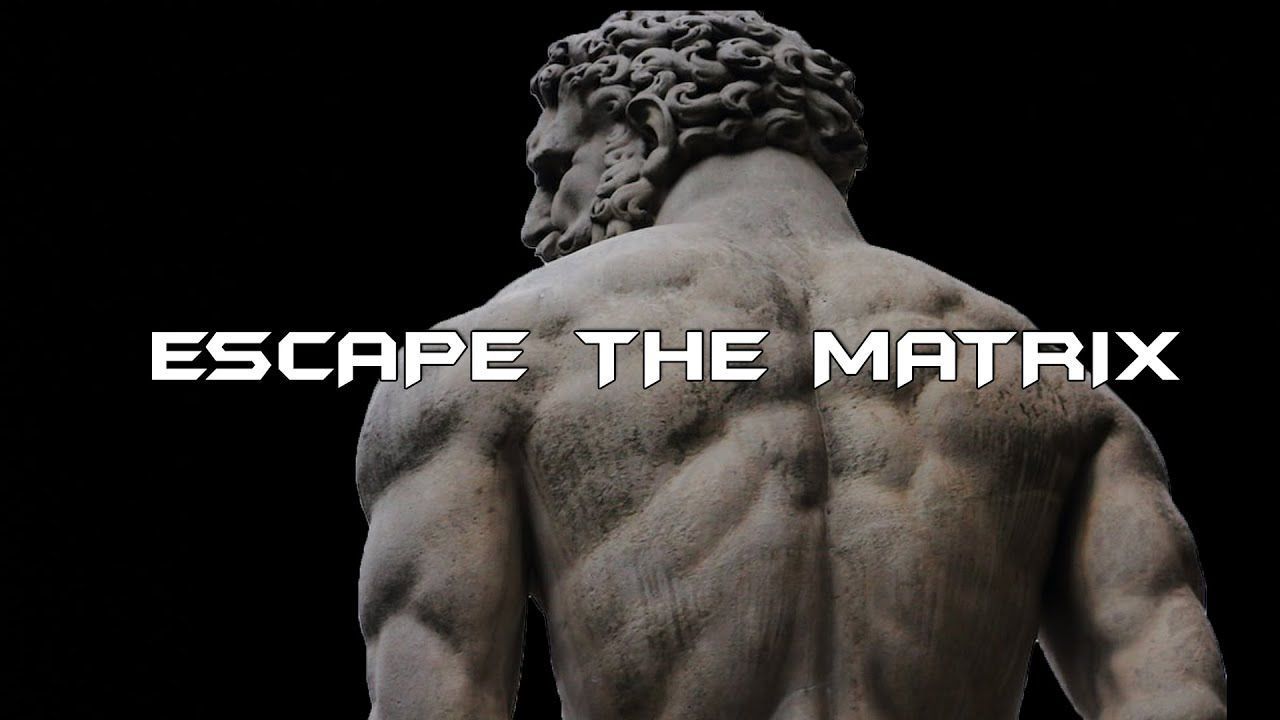 Escape The Matrix Wallpapers - Top Free Escape The Matrix Backgrounds - WallpaperAccess