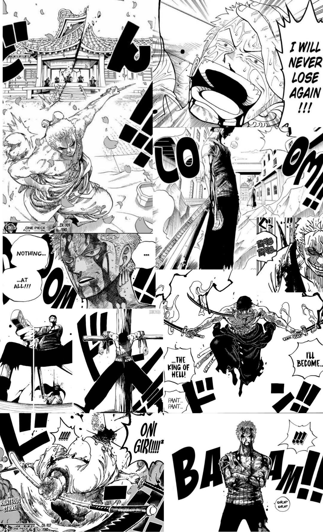 Zoro Funny Wallpapers - Top Free Zoro Funny Backgrounds - WallpaperAccess