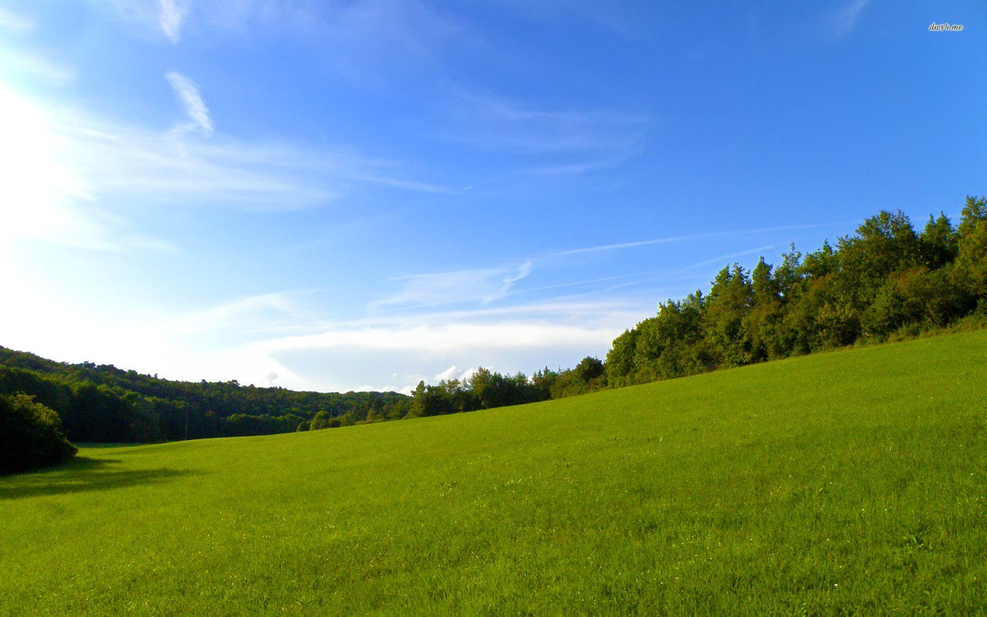 Green Valley Wallpapers - Top Free Green Valley Backgrounds ...