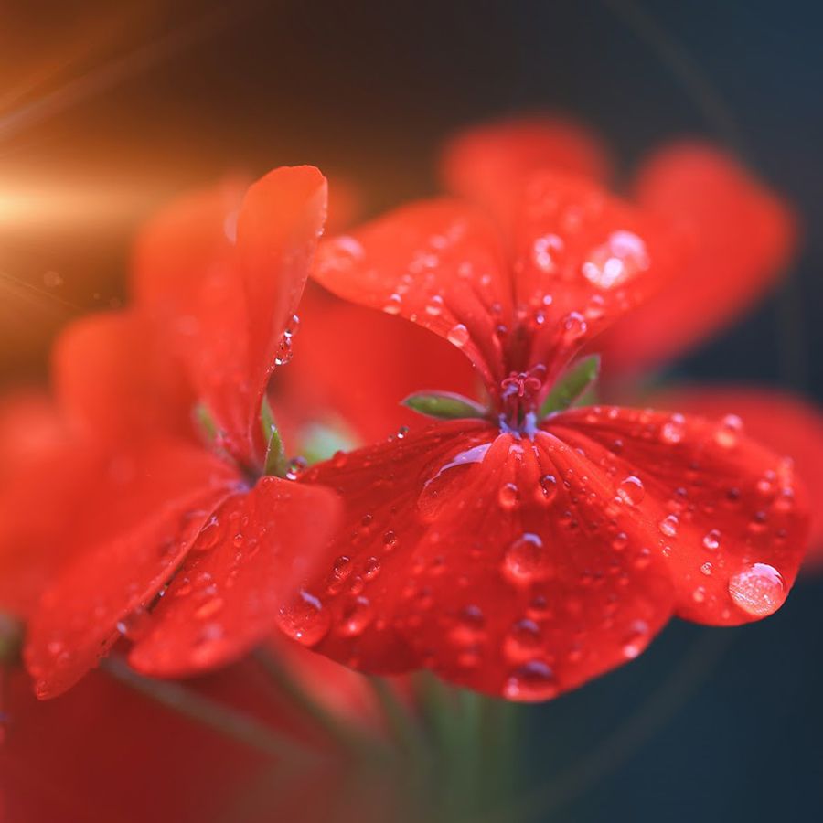 Jealous Wallpapers - Top Free Jealous Backgrounds - WallpaperAccess