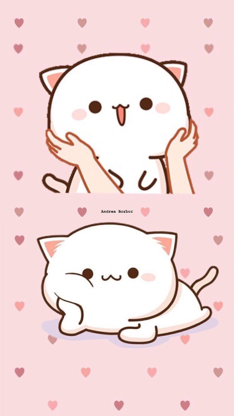 Mochi Cat Wallpapers - Top Free Mochi Cat Backgrounds - WallpaperAccess