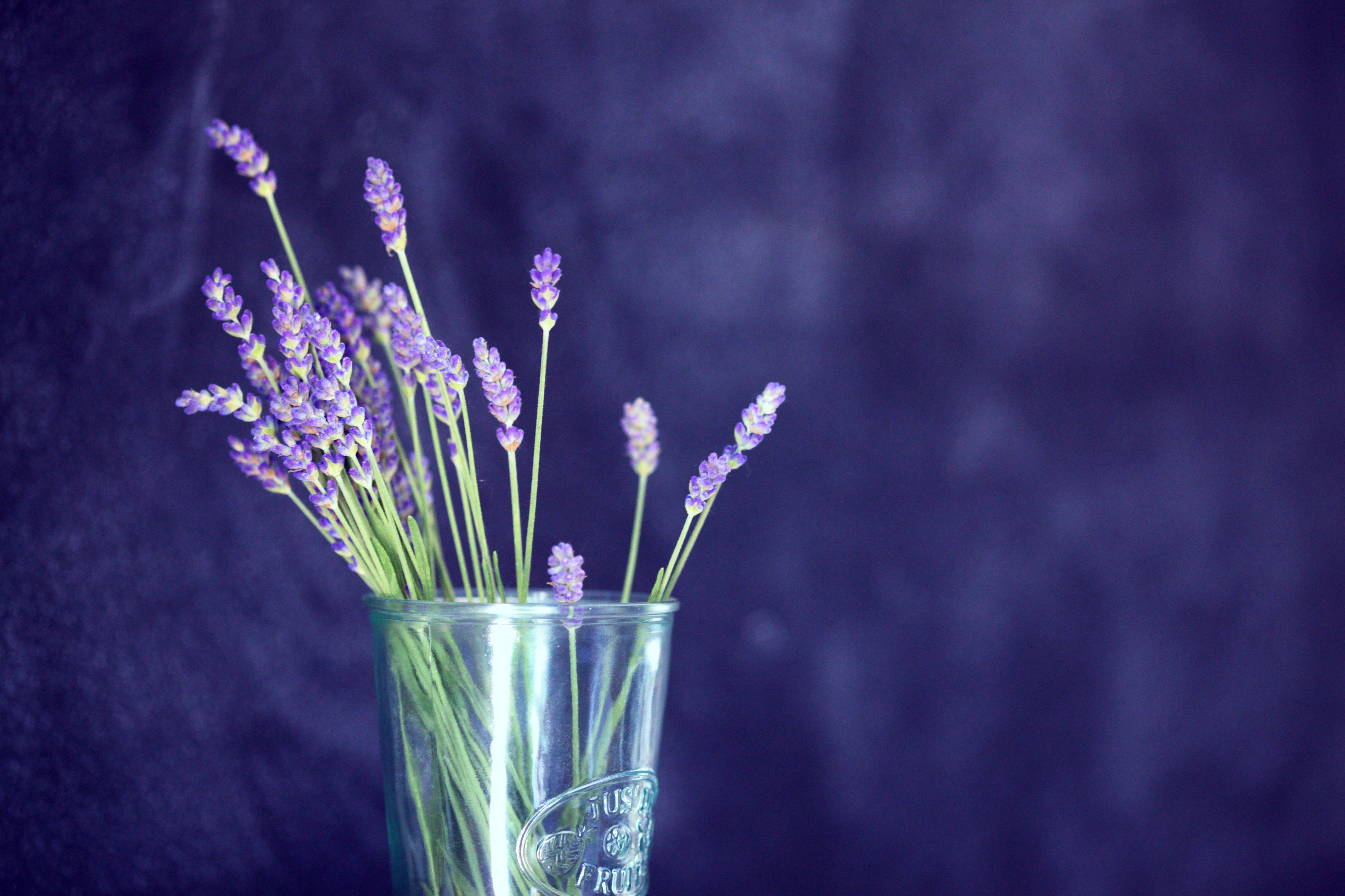 Holistic Wallpapers - Top Free Holistic Backgrounds - WallpaperAccess