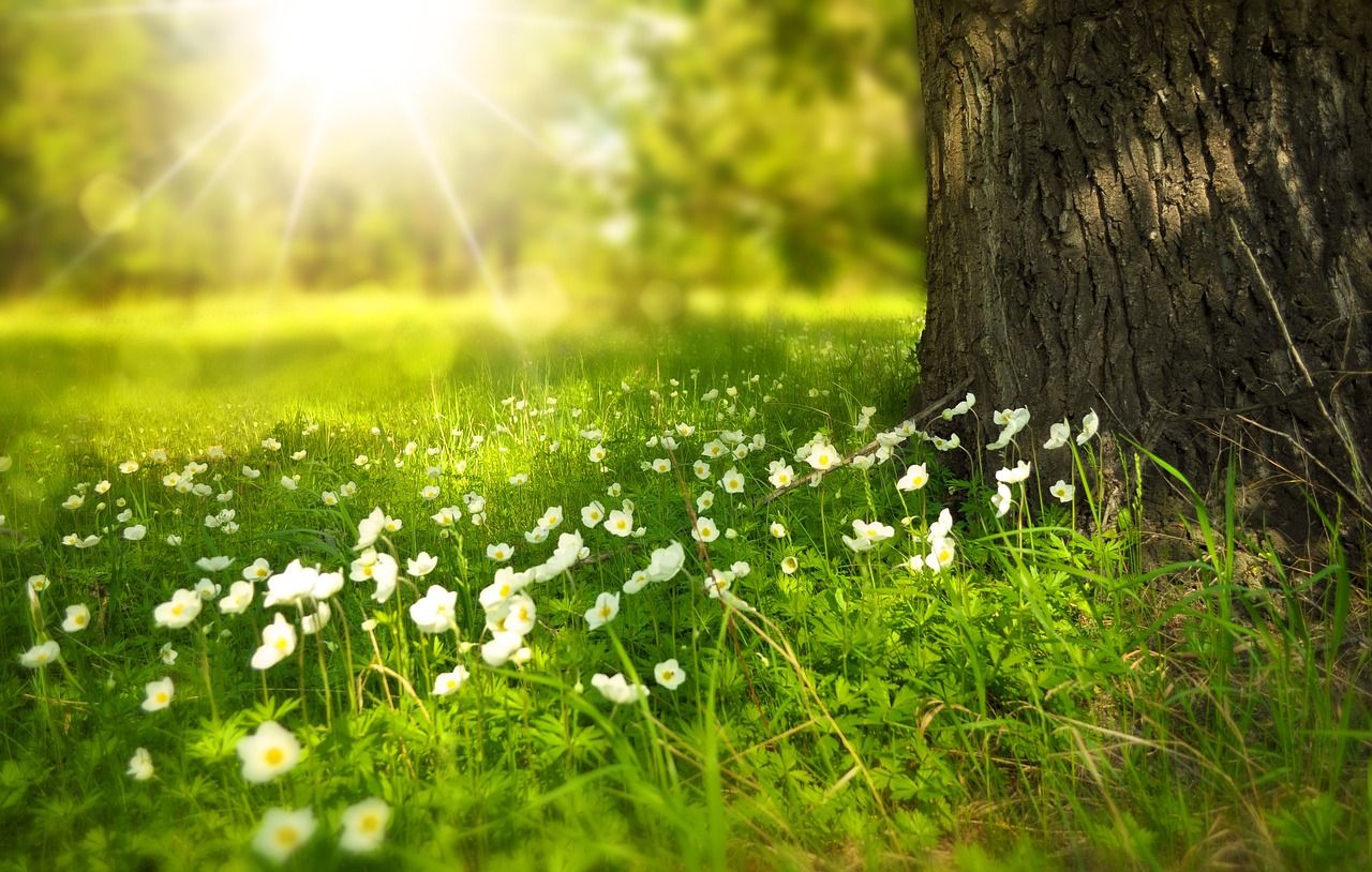 Holistic Wallpapers - Top Free Holistic Backgrounds - WallpaperAccess