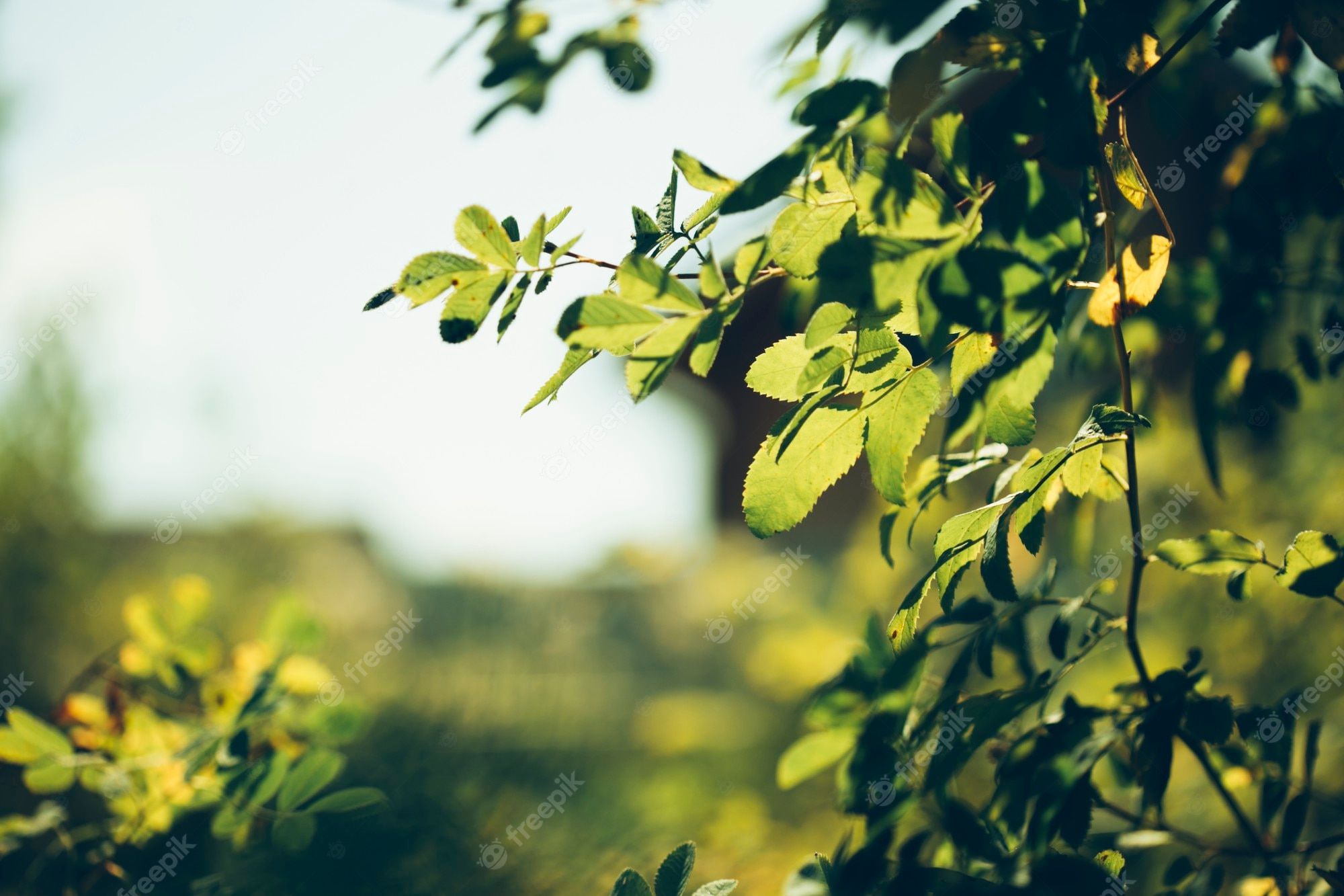 Holistic Wallpapers - Top Free Holistic Backgrounds - WallpaperAccess