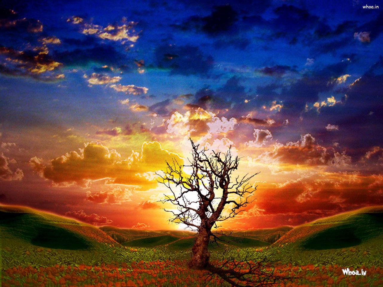 Holistic Wallpapers - Top Free Holistic Backgrounds - WallpaperAccess