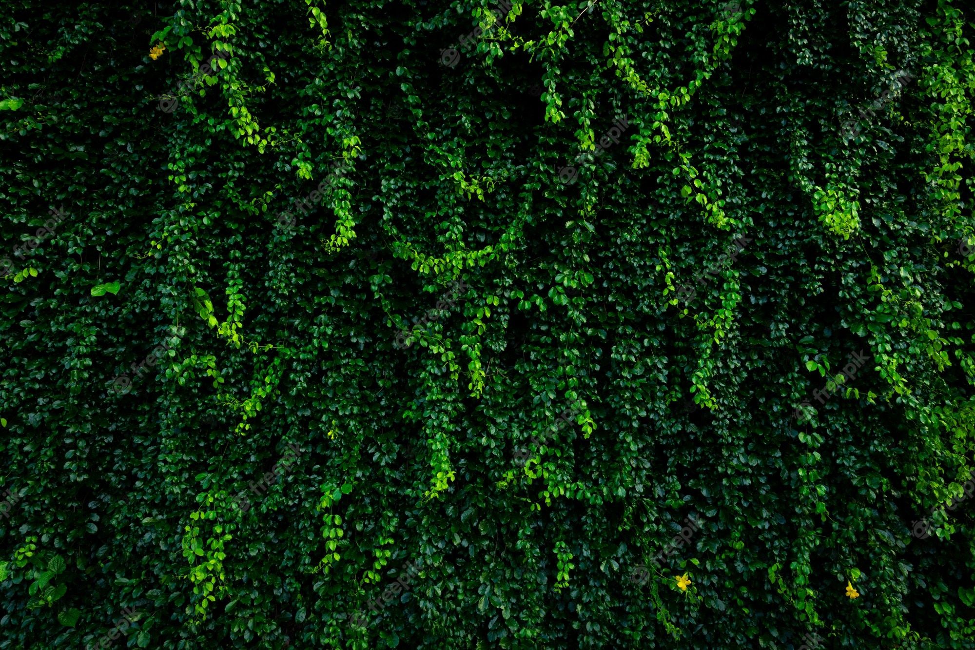 Holistic Wallpapers - Top Free Holistic Backgrounds - WallpaperAccess