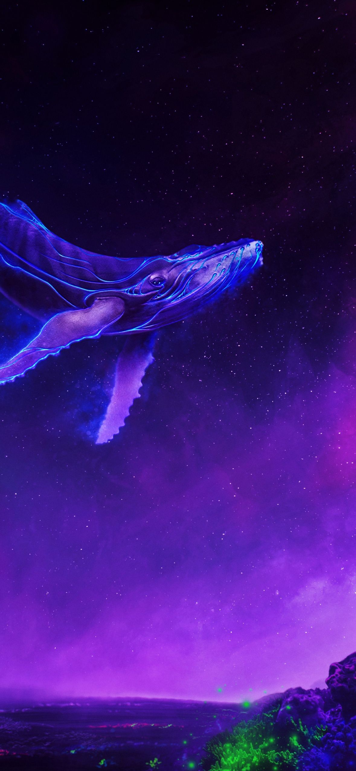 Whale Art Wallpapers - Top Free Whale Art Backgrounds - WallpaperAccess