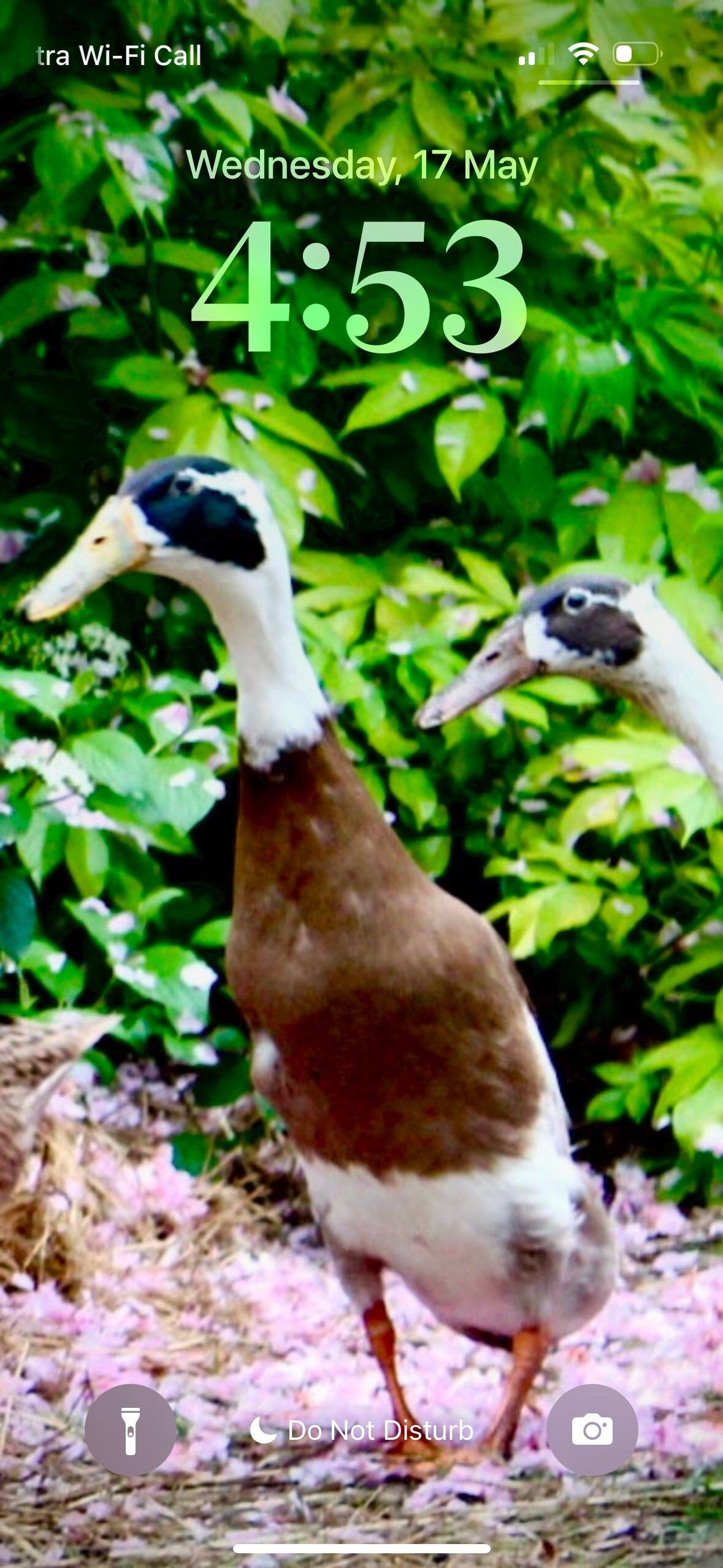 Indian Meme Wallpapers - Top Free Indian Meme Backgrounds - WallpaperAccess