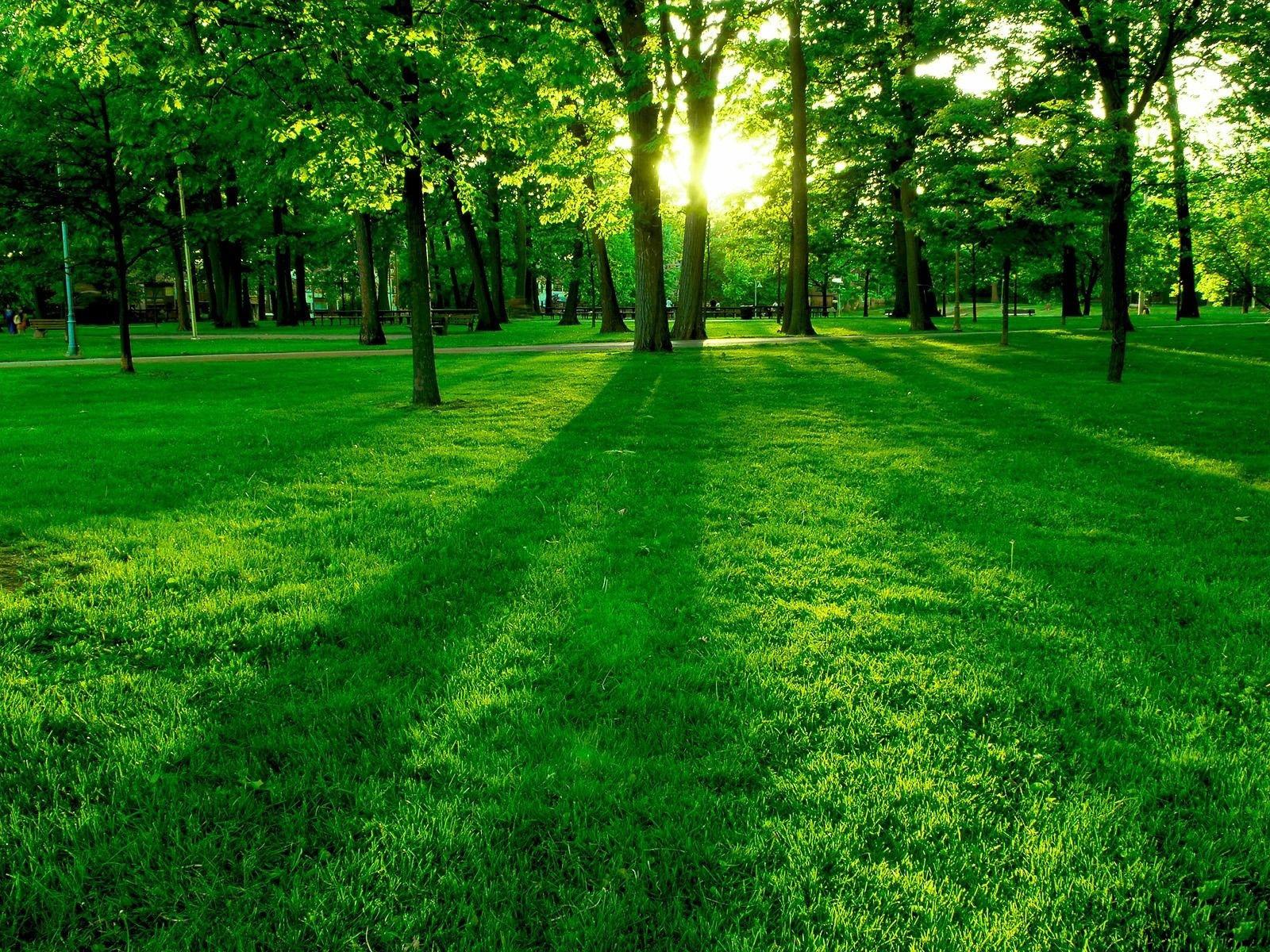 Biomass Wallpapers - Top Free Biomass Backgrounds - WallpaperAccess