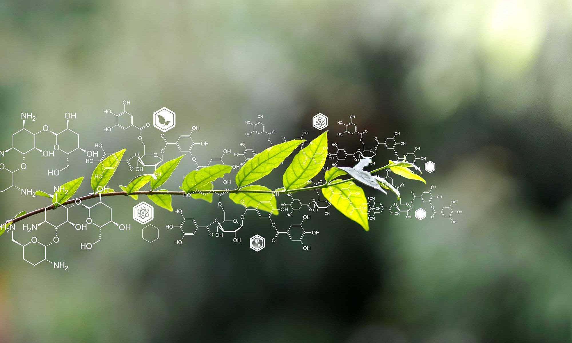 Biomass Wallpapers - Top Free Biomass Backgrounds - WallpaperAccess