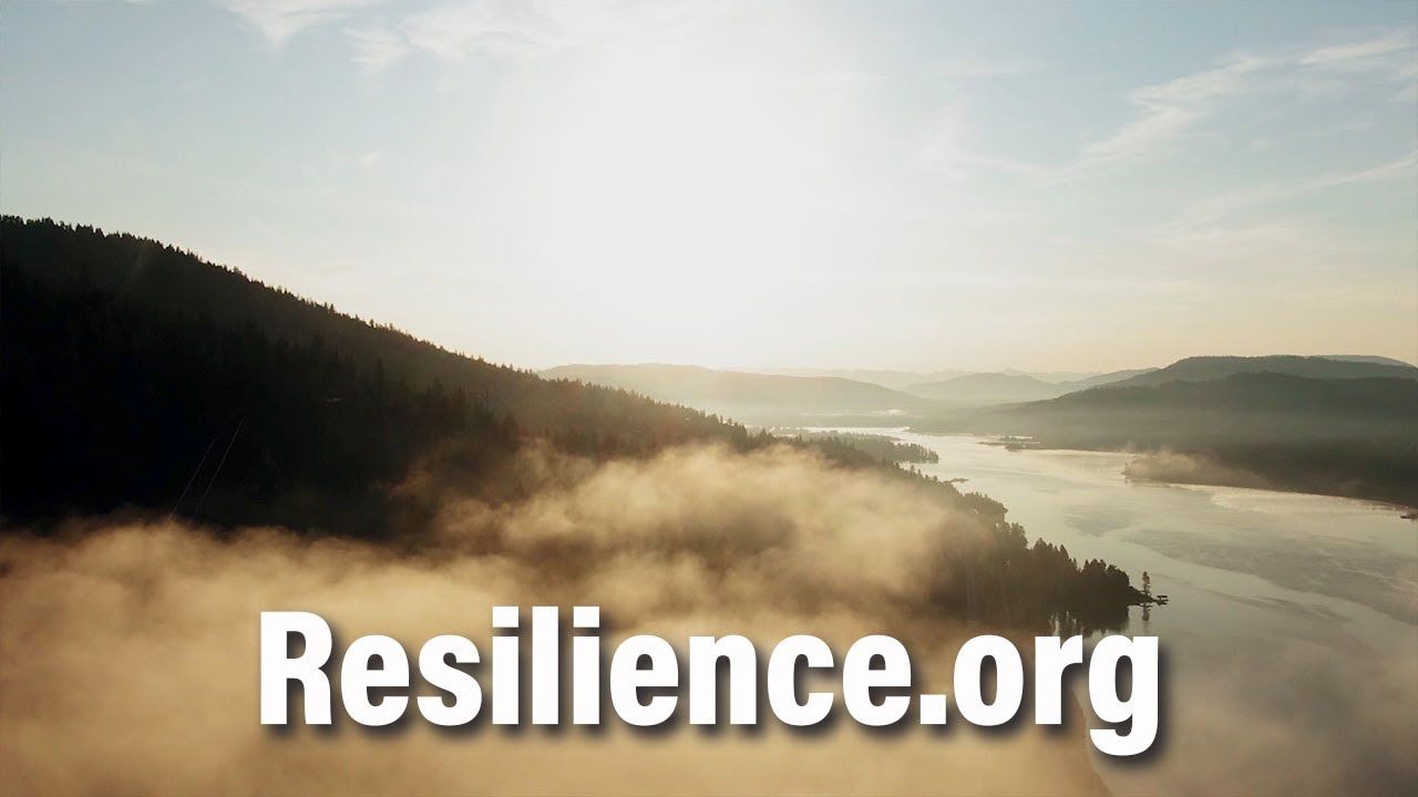 Resilience Wallpapers - Top Free Resilience Backgrounds - WallpaperAccess