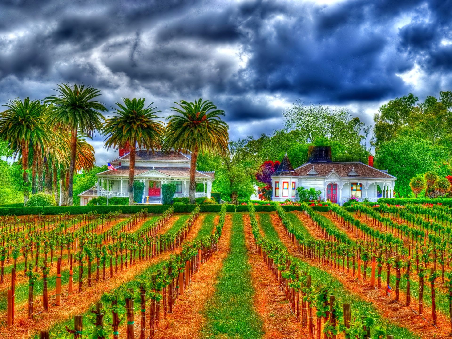 Seedling Wallpapers - Top Free Seedling Backgrounds - WallpaperAccess