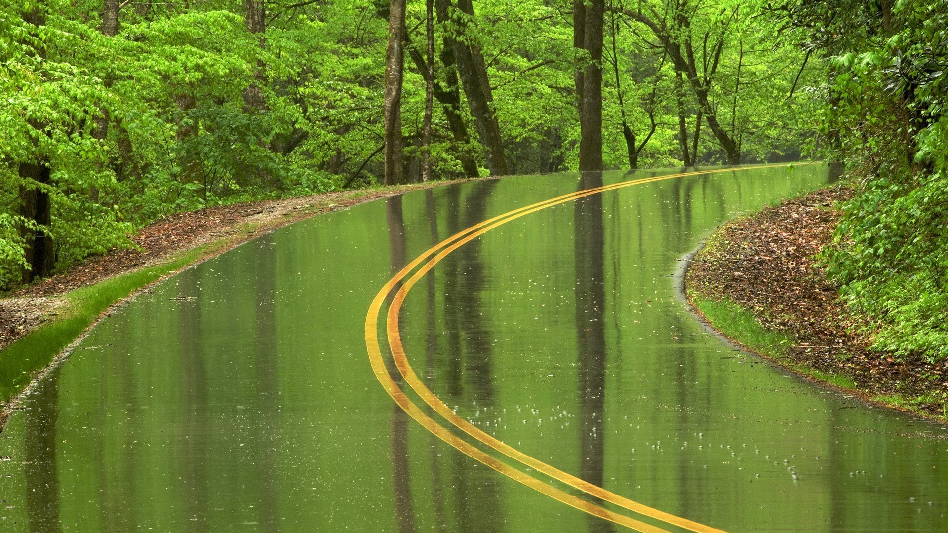 Wet Road Wallpapers - Top Free Wet Road Backgrounds - WallpaperAccess