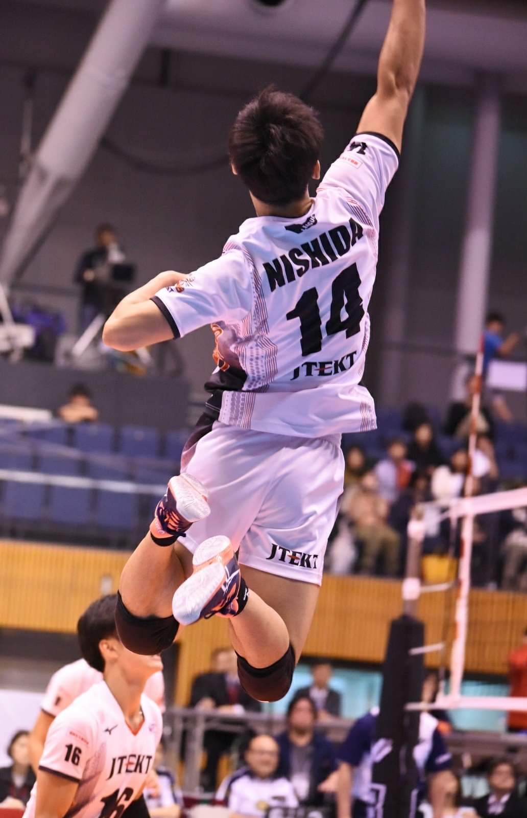 Yuji Nishida Wallpapers - Top Free Yuji Nishida Backgrounds ...