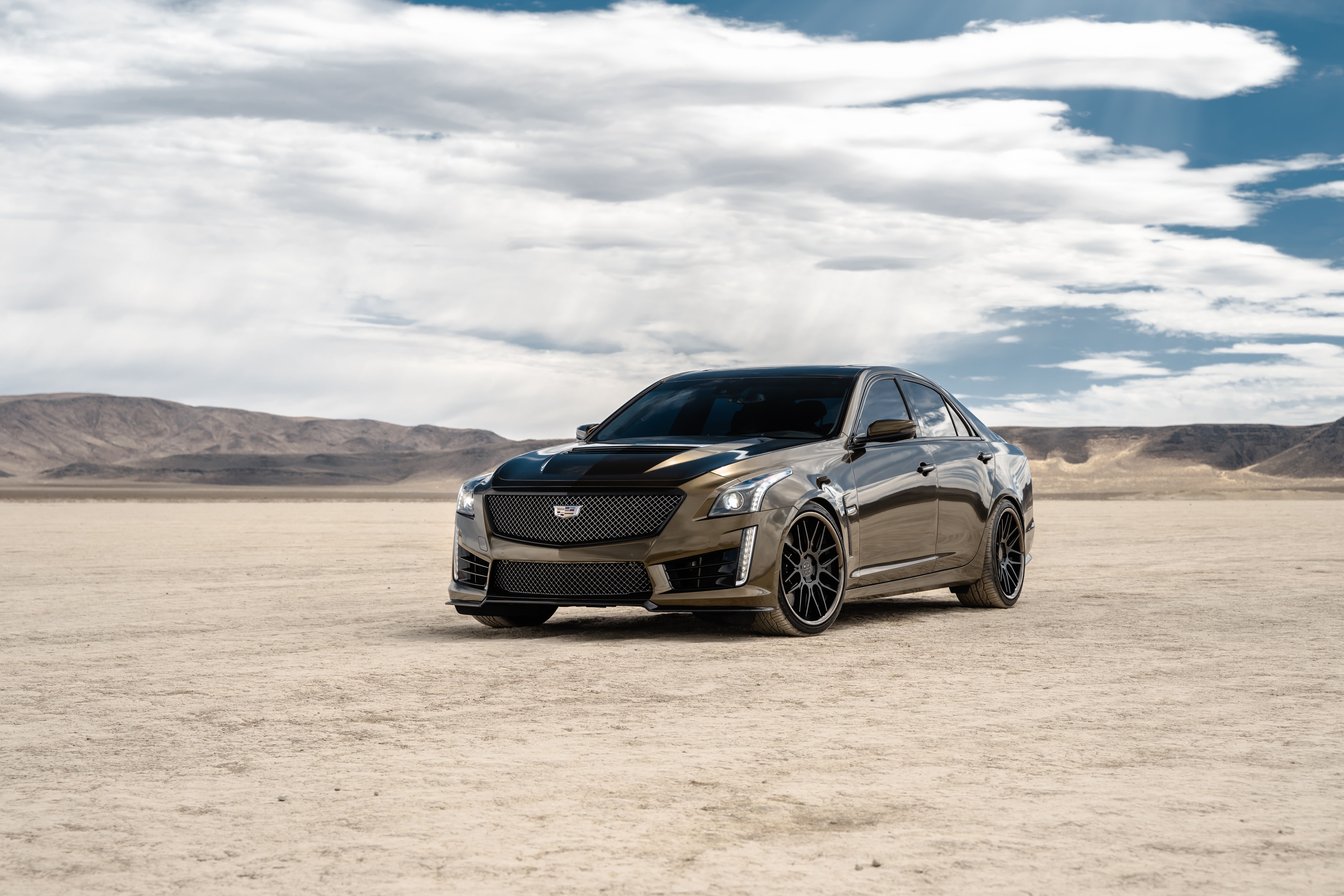 Cognizant Wallpapers - Top Free Cognizant Backgrounds - WallpaperAccess