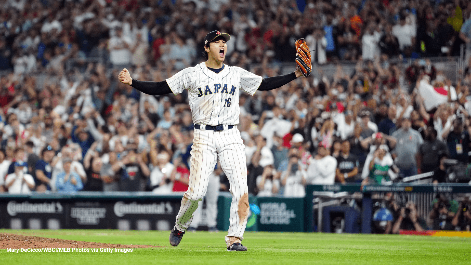 WBC Wallpapers - Top Free WBC Backgrounds - WallpaperAccess