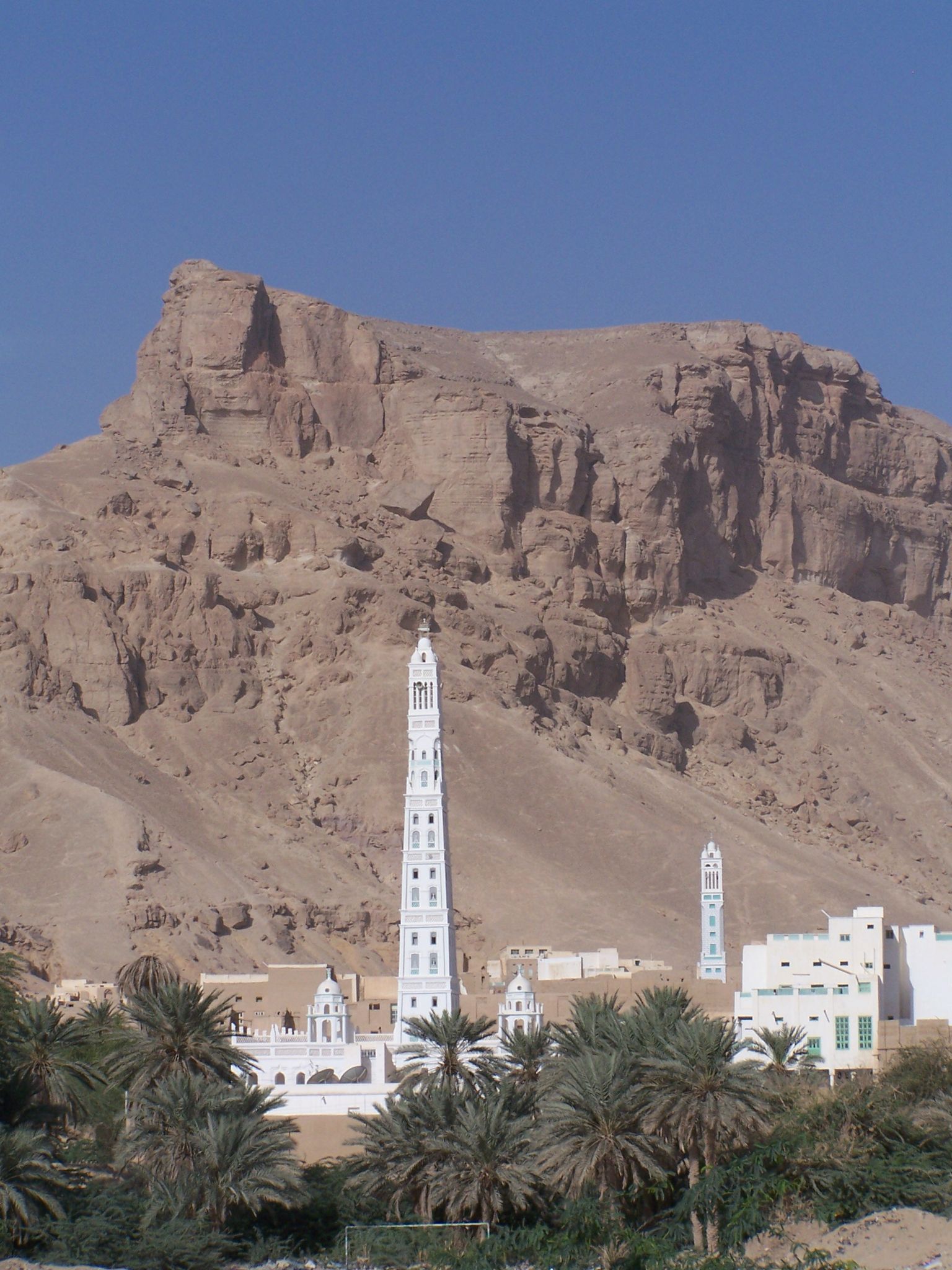 Tarim Wallpapers - Top Free Tarim Backgrounds - WallpaperAccess