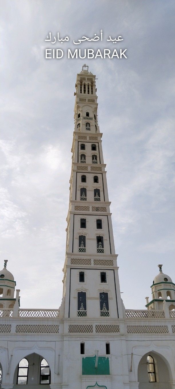 Tarim Wallpapers - Top Free Tarim Backgrounds - WallpaperAccess