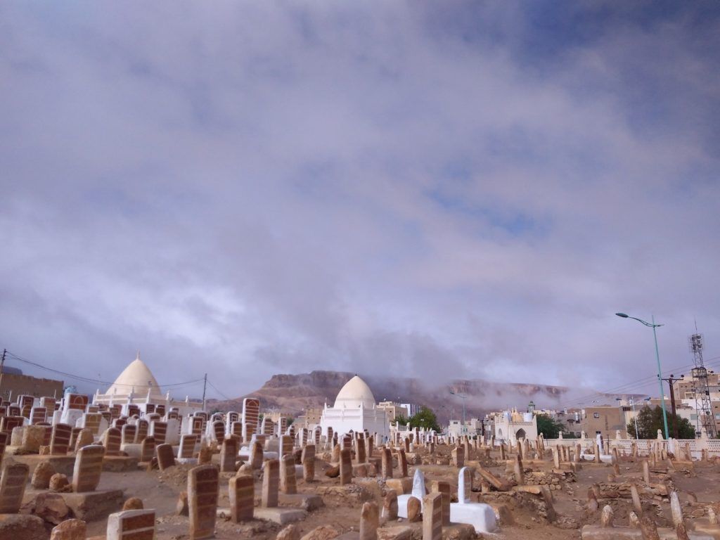 Tarim Wallpapers - Top Free Tarim Backgrounds - WallpaperAccess