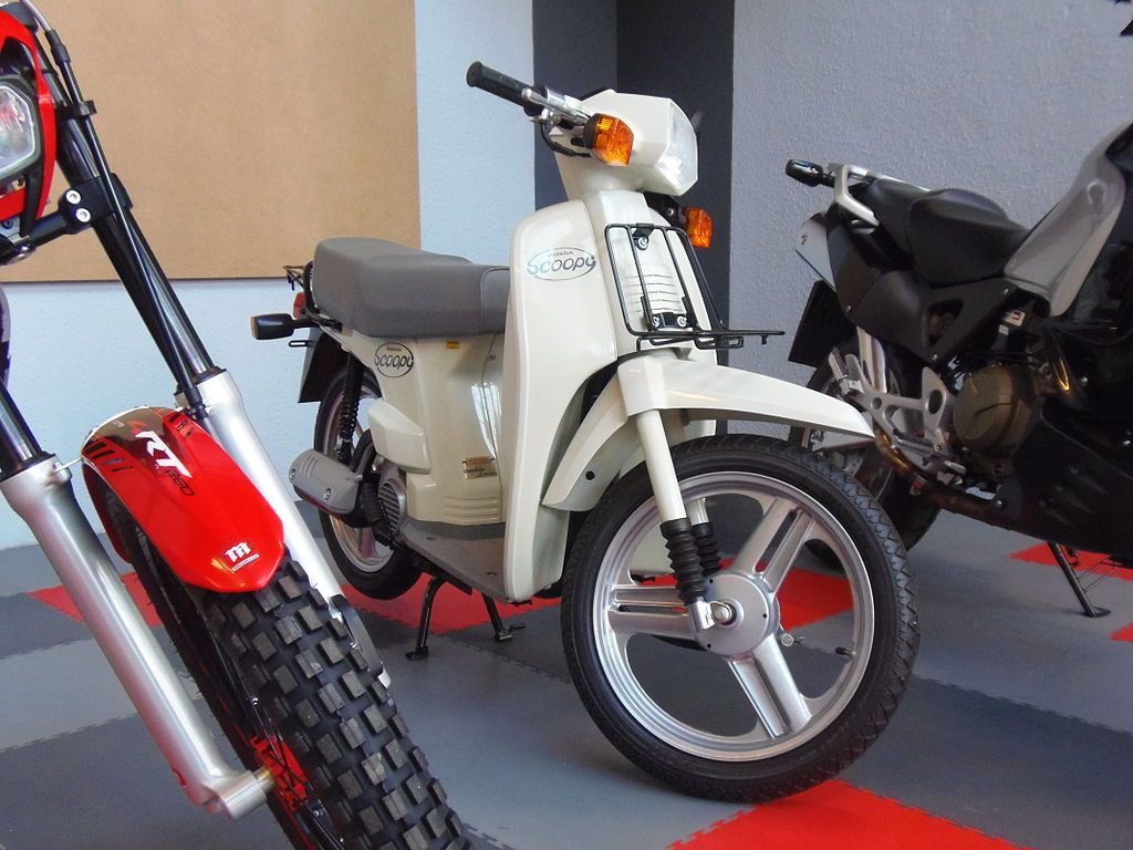 Scoopy Wallpapers - Top Free Scoopy Backgrounds - WallpaperAccess