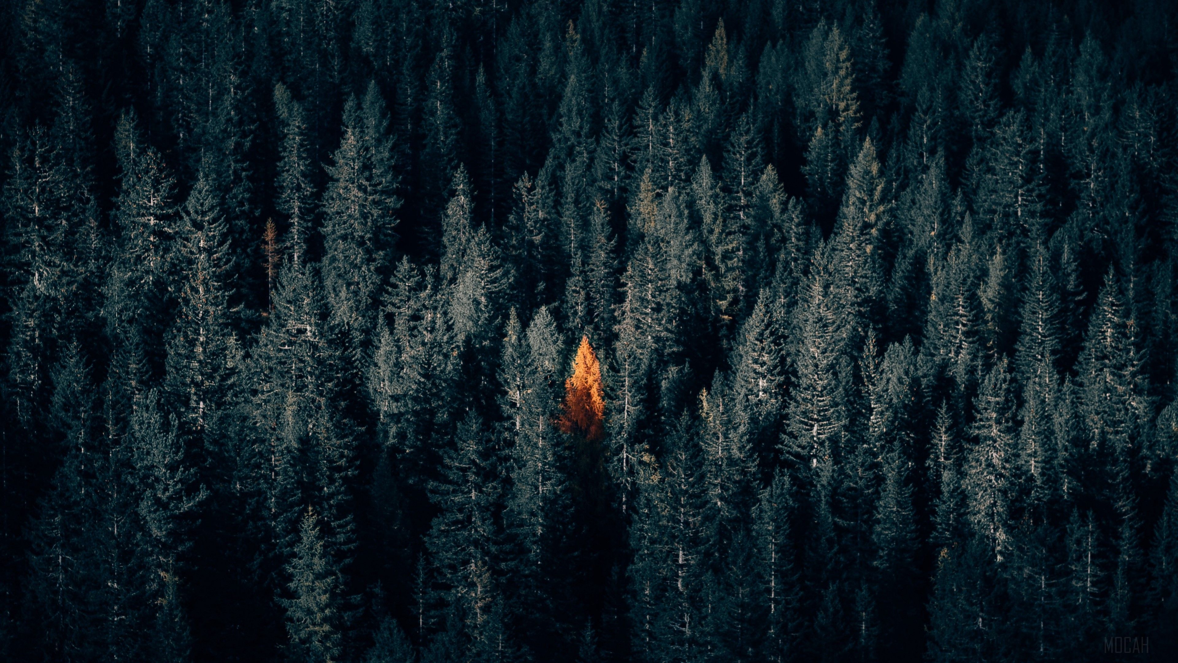 Dark View Wallpapers - Top Free Dark View Backgrounds - WallpaperAccess