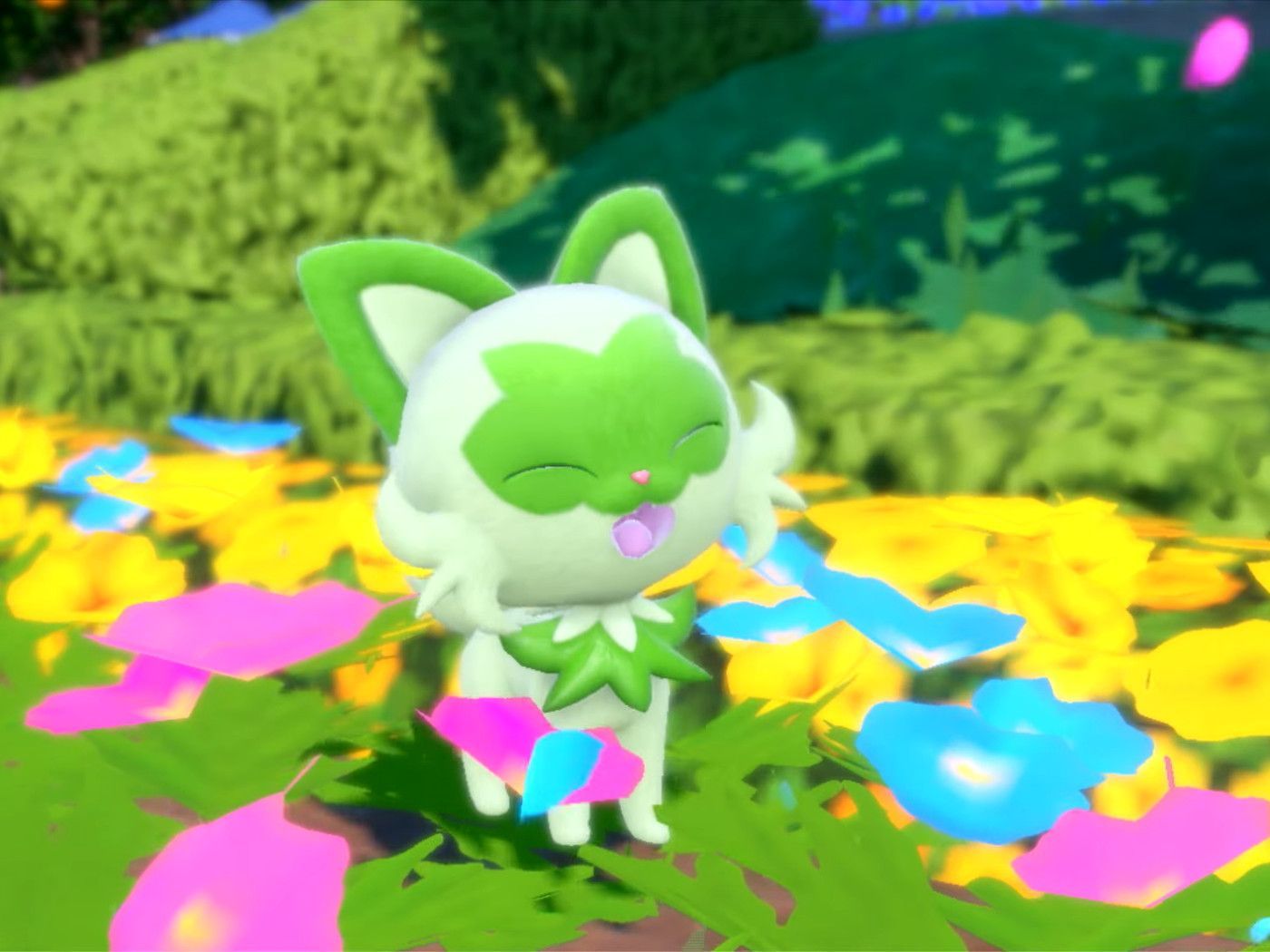 Sprigatito Wallpapers - Top Free Sprigatito Backgrounds - WallpaperAccess