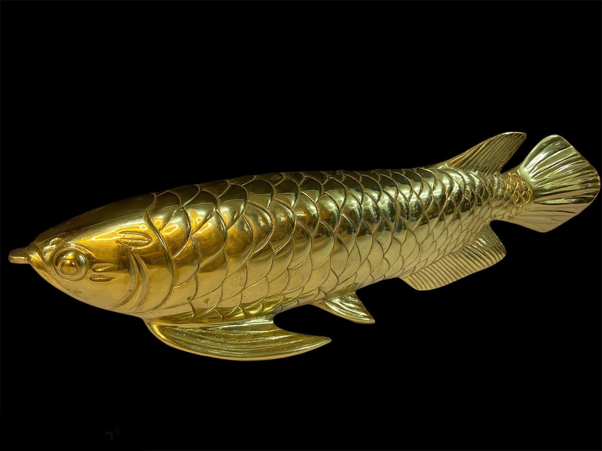 Lucky Fish Wallpapers - Top Free Lucky Fish Backgrounds - WallpaperAccess