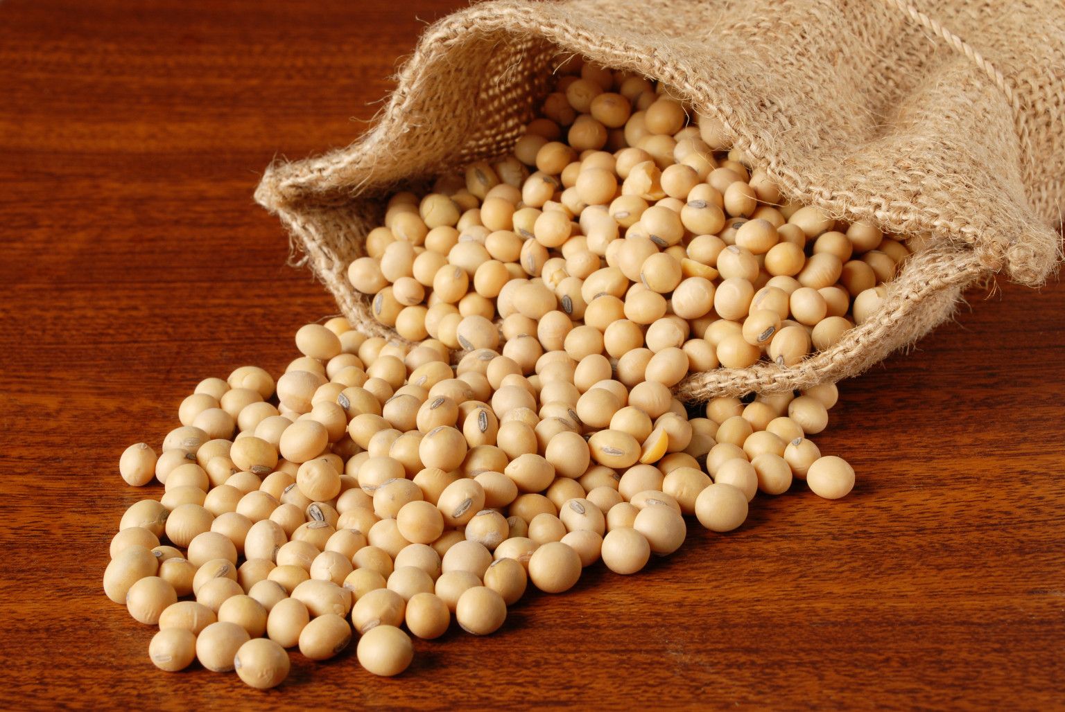 Soybean Wallpapers - Top Free Soybean Backgrounds - WallpaperAccess