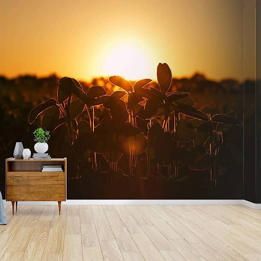 Soybean Wallpapers - Top Free Soybean Backgrounds - WallpaperAccess