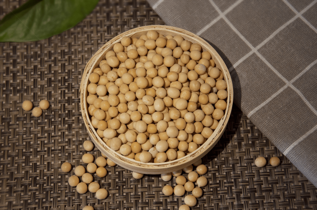 Soybean Wallpapers - Top Free Soybean Backgrounds - WallpaperAccess