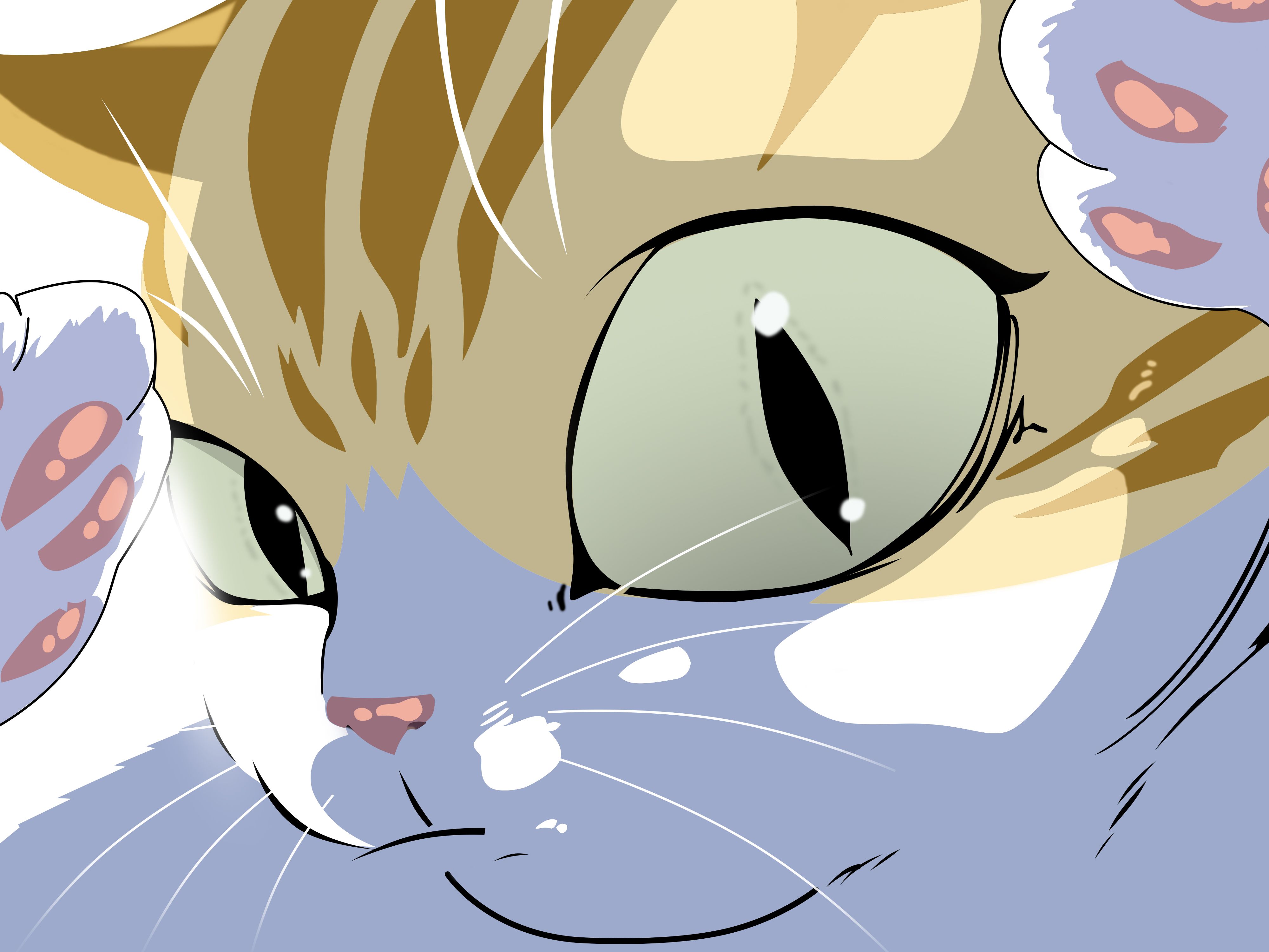 Kayden Break Wallpapers - Top Free Kayden Break Backgrounds - WallpaperAccess