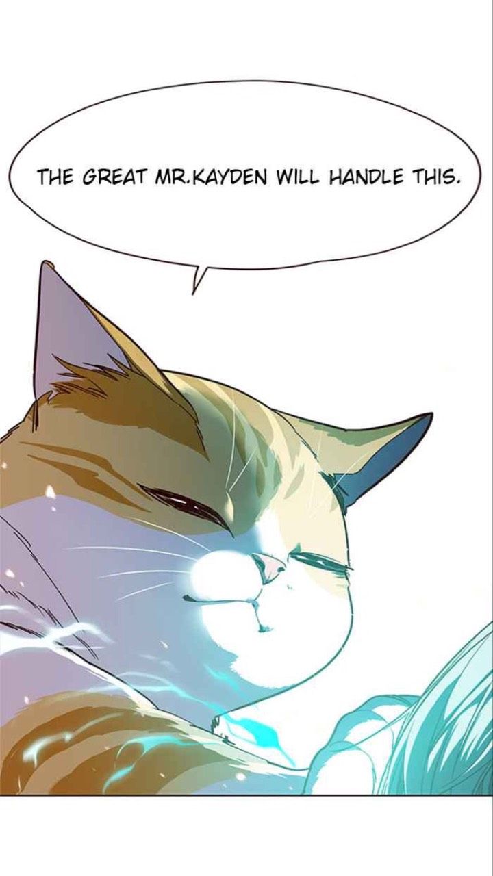 Kayden Break Wallpapers - Top Free Kayden Break Backgrounds - WallpaperAccess