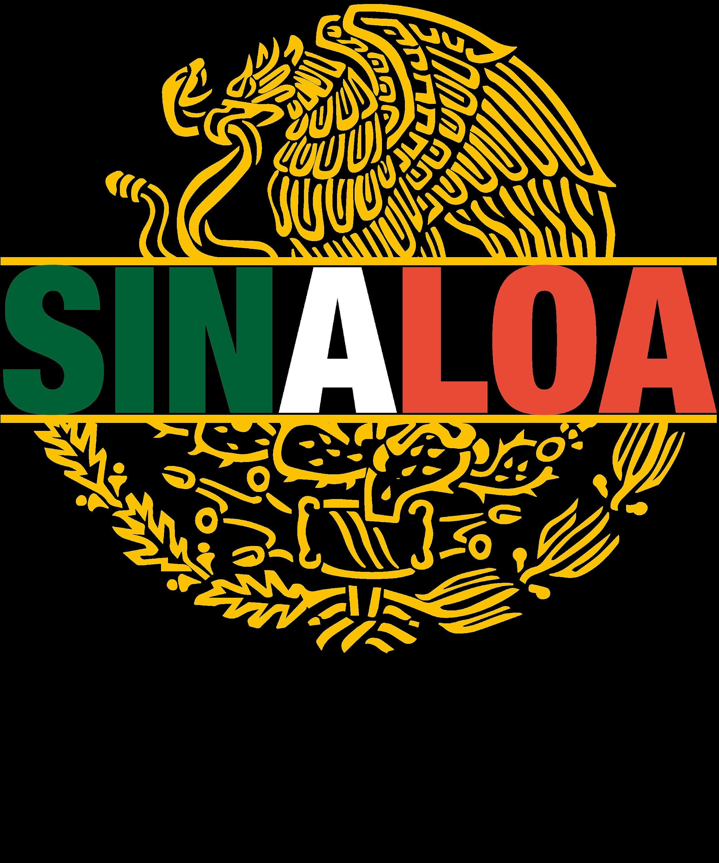 Sinaloa Wallpapers - Top Free Sinaloa Backgrounds - WallpaperAccess