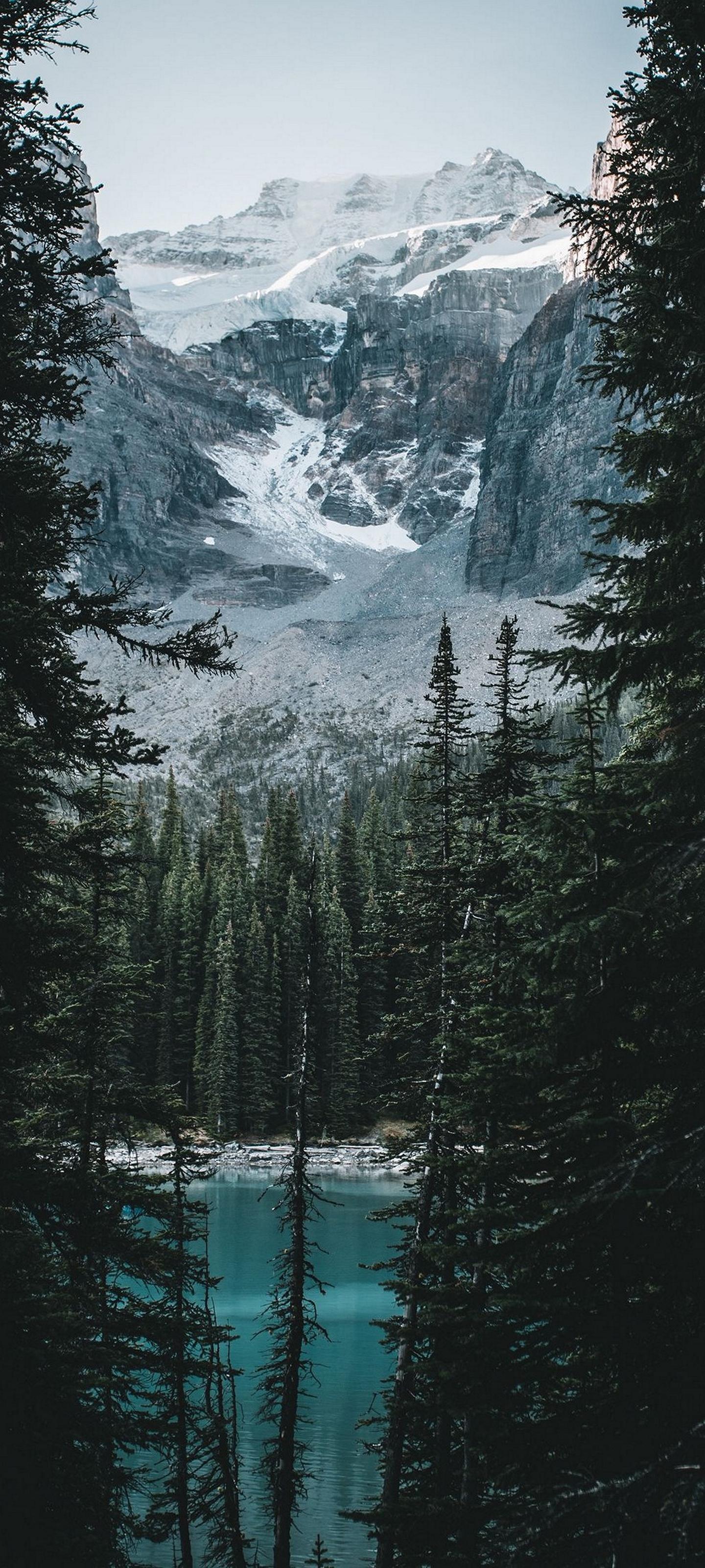 1440X3200 Wallpapers - Top Free 1440X3200 Backgrounds - WallpaperAccess