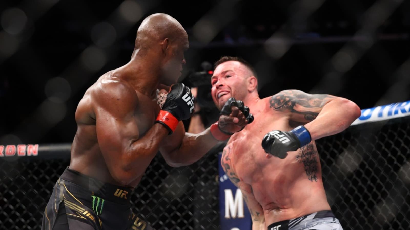 Colby Covington Wallpapers - Top Free Colby Covington Backgrounds ...